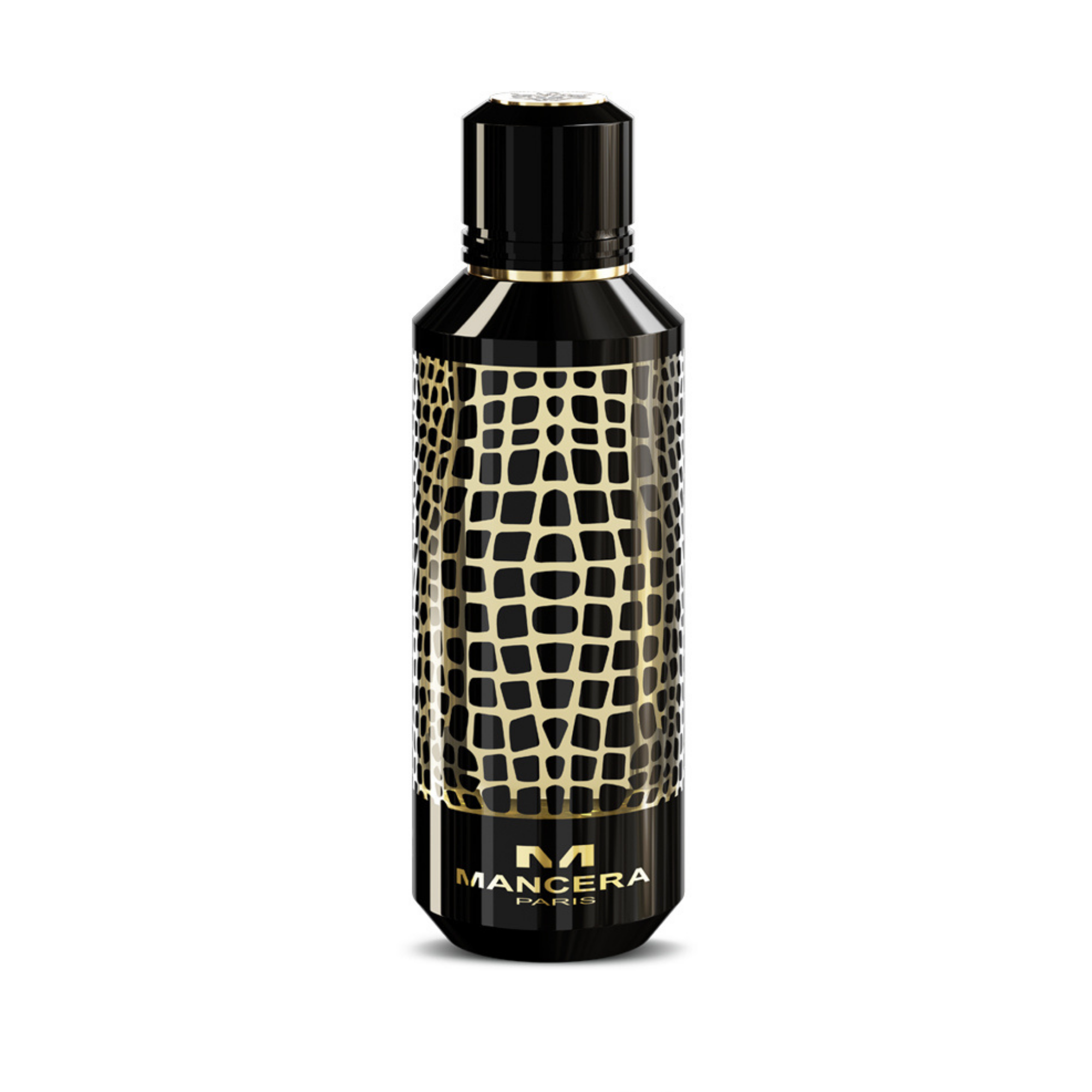 Wild Python – PERRIS STORE